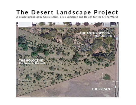 The Desert Landscape Project | Design for the Living World, HFBK